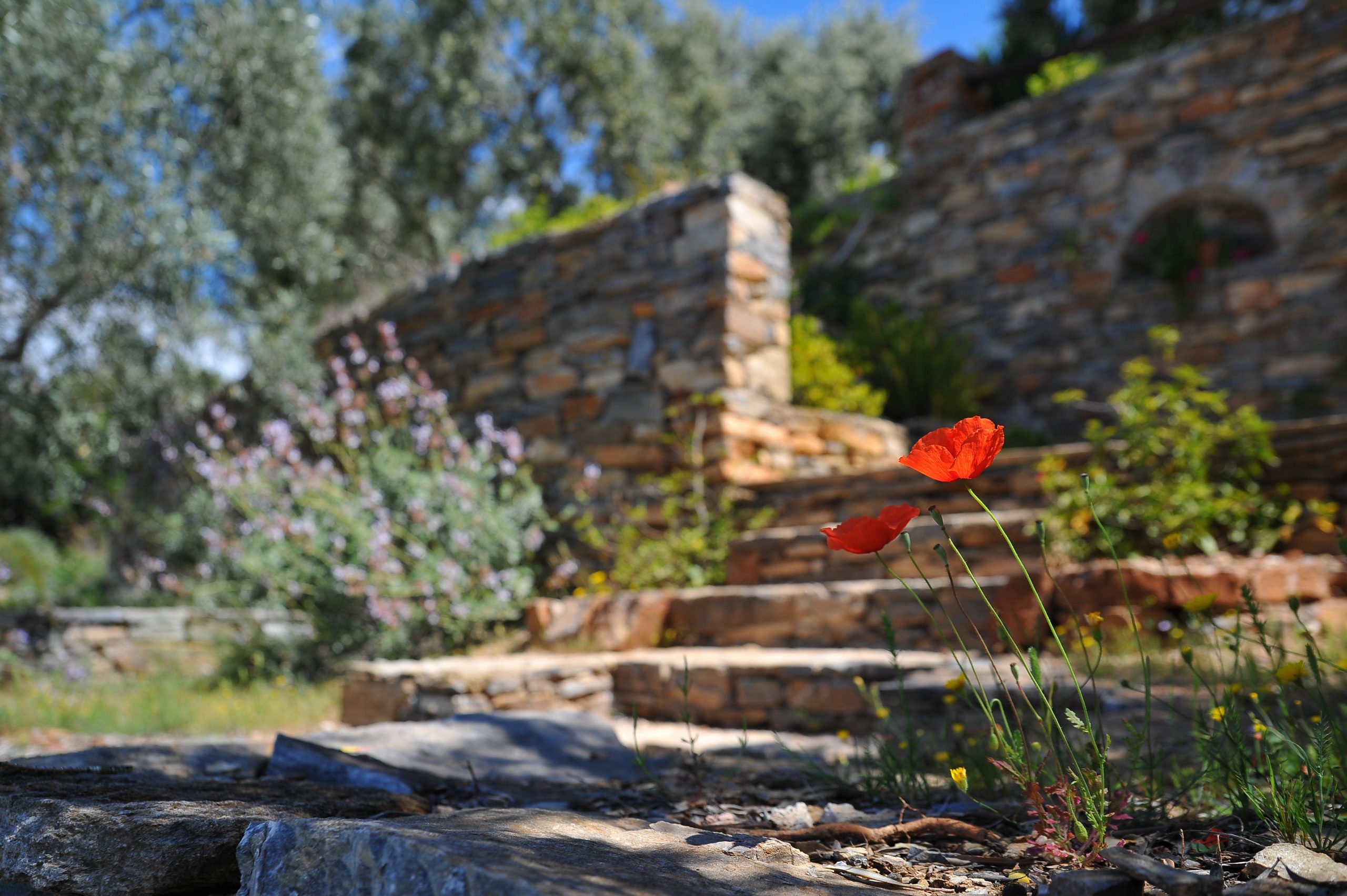 Make The Sustainable Choice: Choose Natural Stone! | Aus Slate & Stone